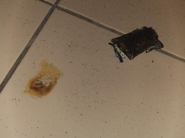 Galaxy S3 explode durante a noite, queima colchão e deixa criança ...