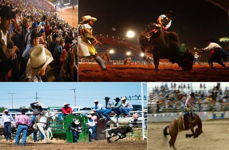 Viaje nestas fotos e conheça a emoção dos rodeios pelo País - Fotos ...