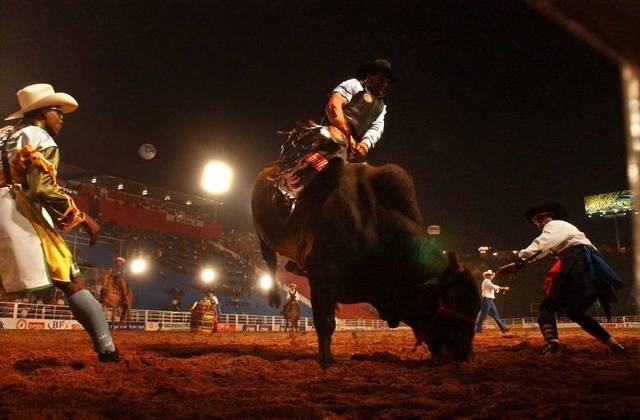 Viaje nestas fotos e conheça a emoção dos rodeios pelo País - Fotos ...
