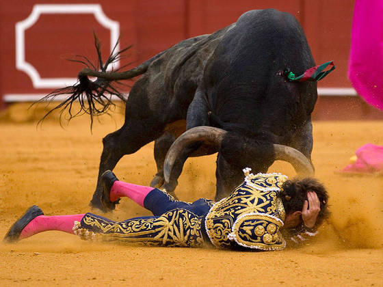 Tradição cruel: touradas na França e Espanha mostram a brutalidade da ...