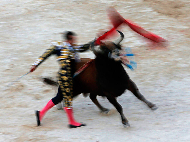 Tradição cruel: touradas na França e Espanha mostram a brutalidade da ...