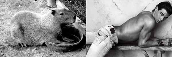 10 fotos que provam que Rafael Nadal é uma capivara - Fotos - R7 Mais ...