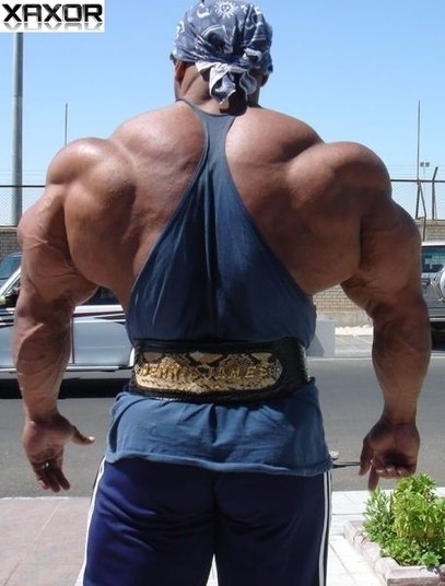 30 fotos de bombadões que vão fazer você fugir das academias - Fotos ...