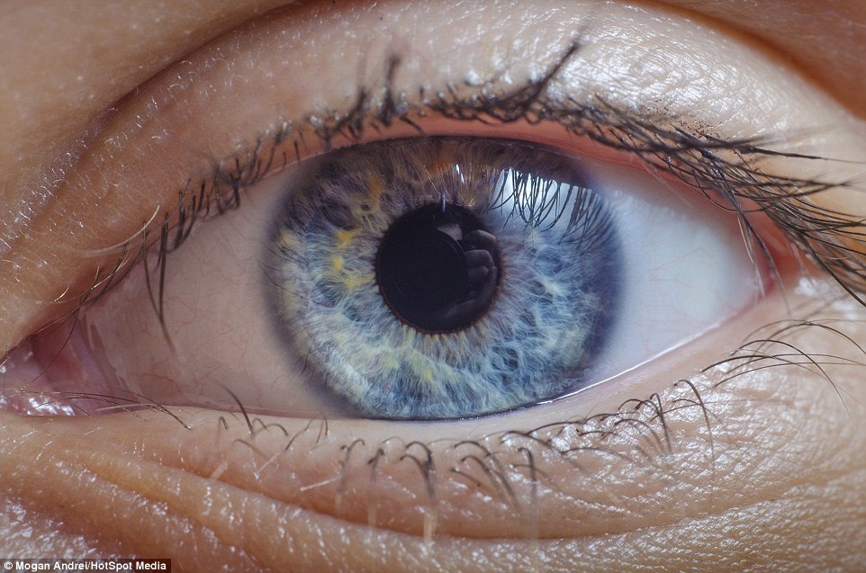 Coloridos e deslumbrantes: fotografias mostram a beleza do olho humano ...