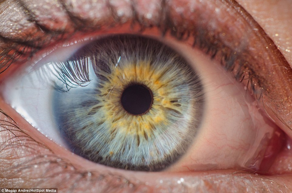 Coloridos e deslumbrantes: fotografias mostram a beleza do olho humano ...