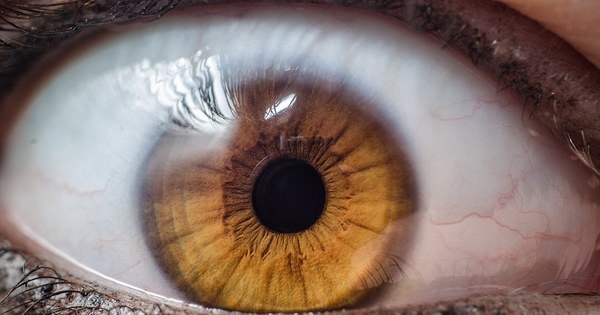 Coloridos e deslumbrantes: fotografias mostram a beleza do olho humano ...