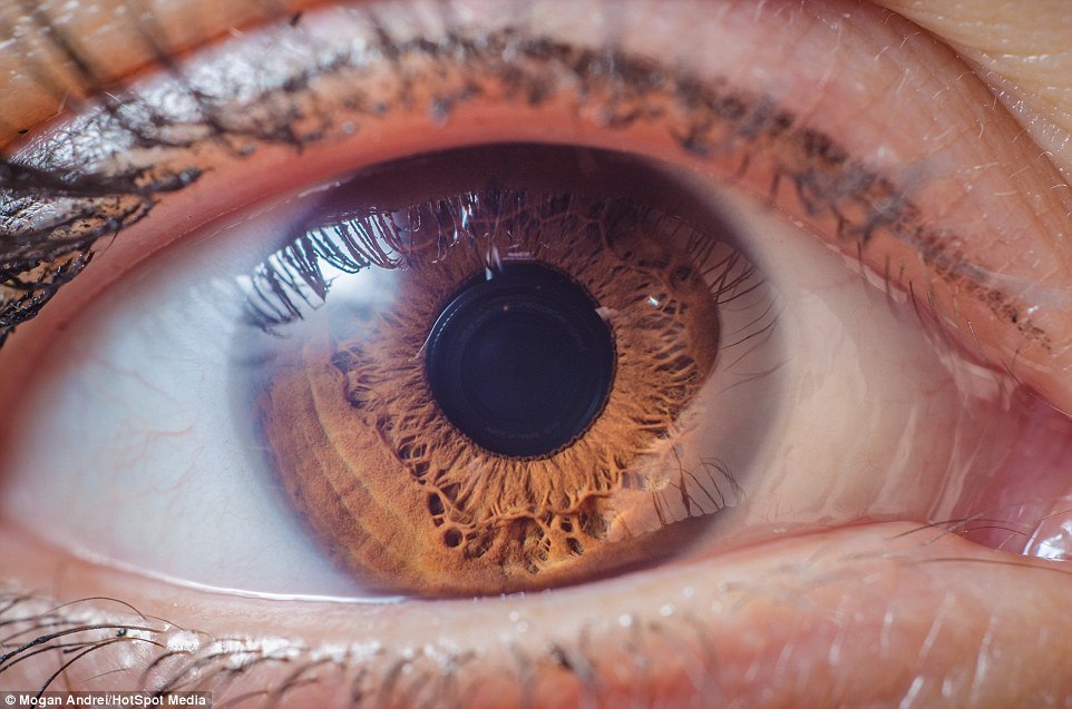 Coloridos e deslumbrantes: fotografias mostram a beleza do olho humano ...