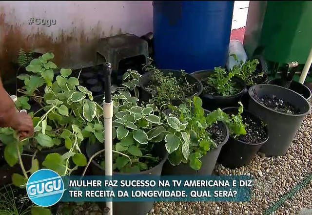 Mais De 70 Anos Fiu Fiu Rs Maryworks