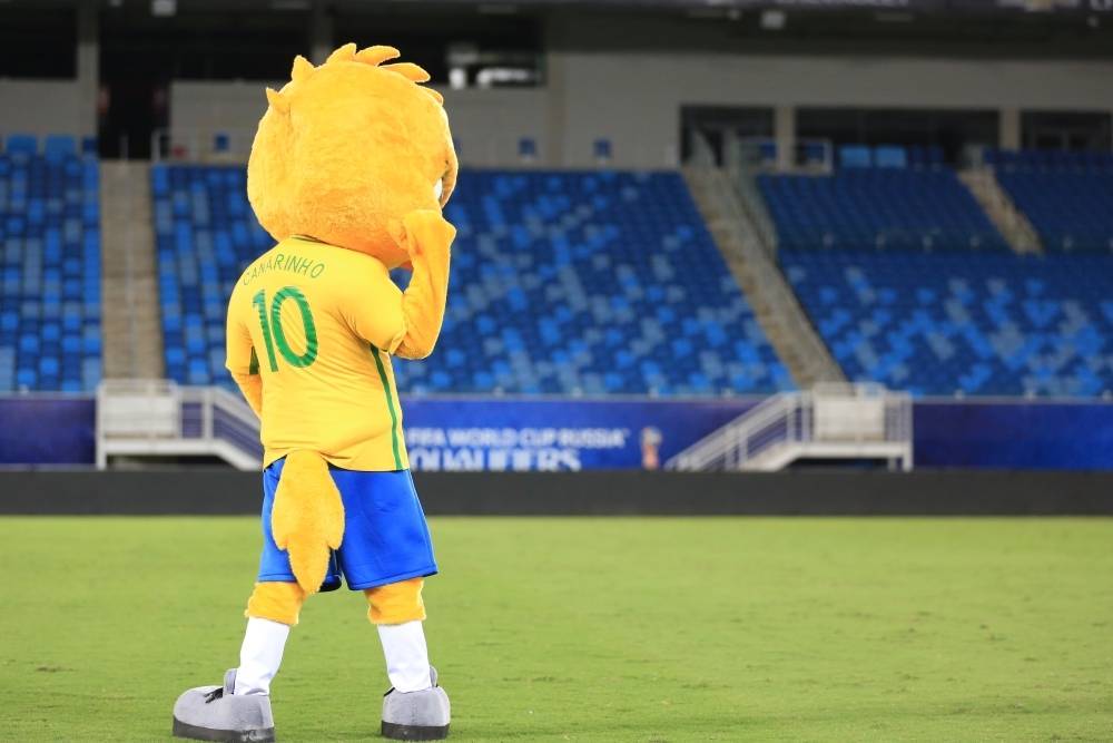 Mascote da seleção, Canarinho desfila habilidade pelo mundo - Prisma ...