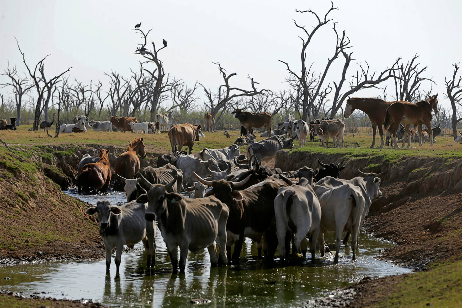 Maiores represas do País enfrentam seca histórica - Notícias - R7 Brasil