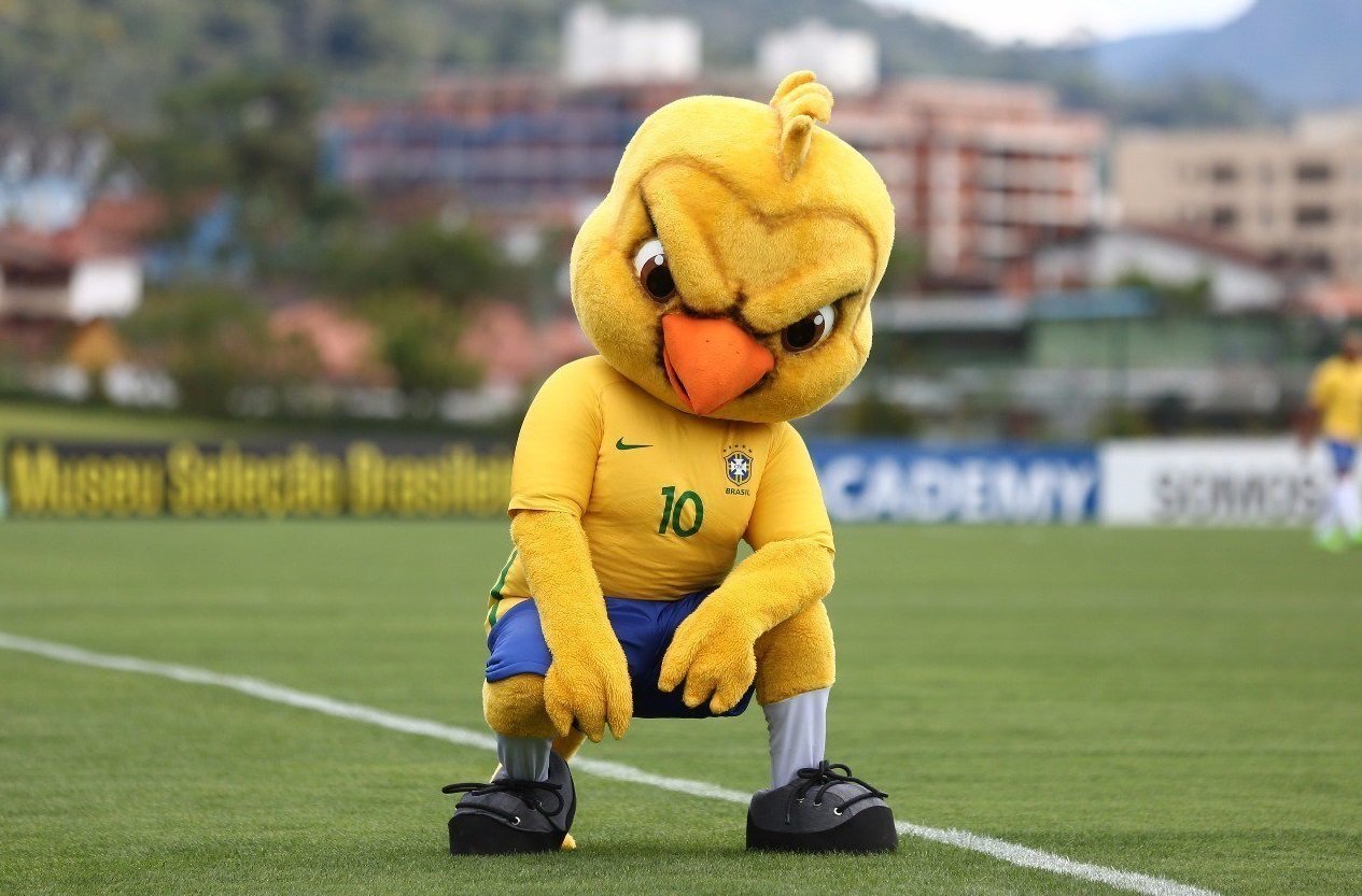 Canarinho 'Pistola': os segredos do sucesso do mascote da seleção ...