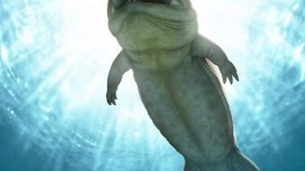 Criatura pré-histórica de cerca de 250 milhões de anos é encontrada na ...