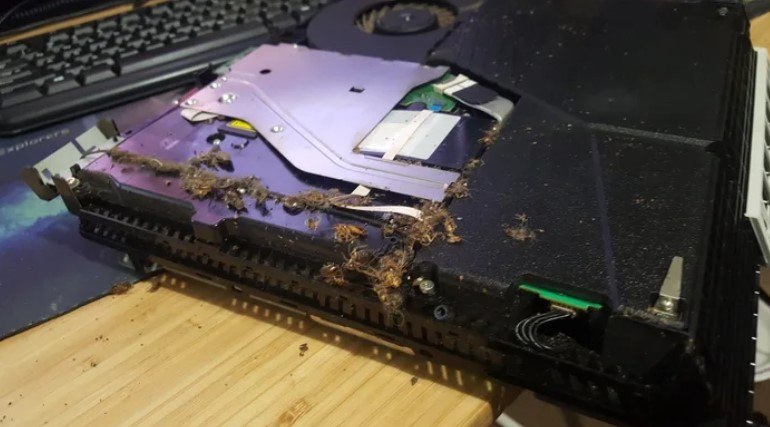 Programador roda Doom em teste de gravidez modificado - Notícias - R7 ...