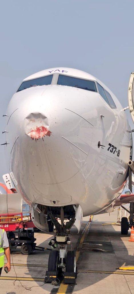Colisão com pássaro destrói 'nariz' de Boeing 737-Max - Prisma - R7 ...