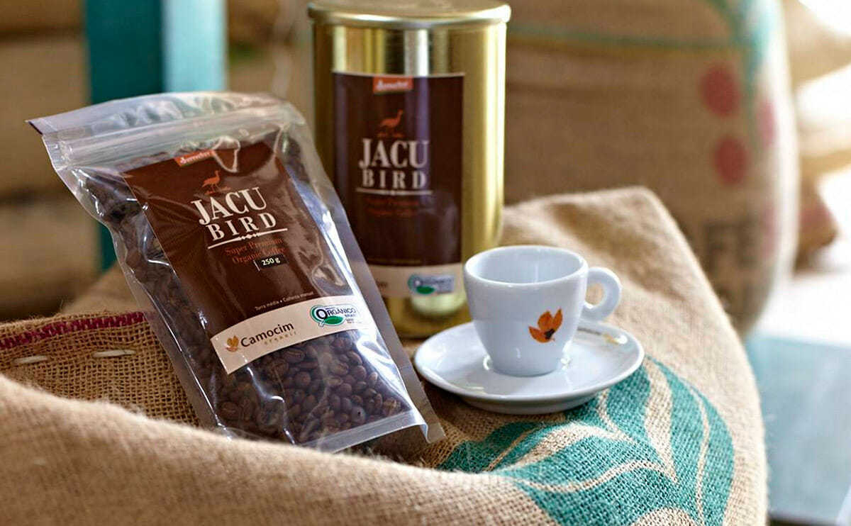 Feito com fezes de pássaro, café de Jacu é um dos mais caros do mundo ...