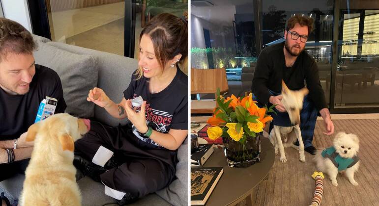 Ex de Thiago Nigro diz que os pets são o único motivo que a faria ...