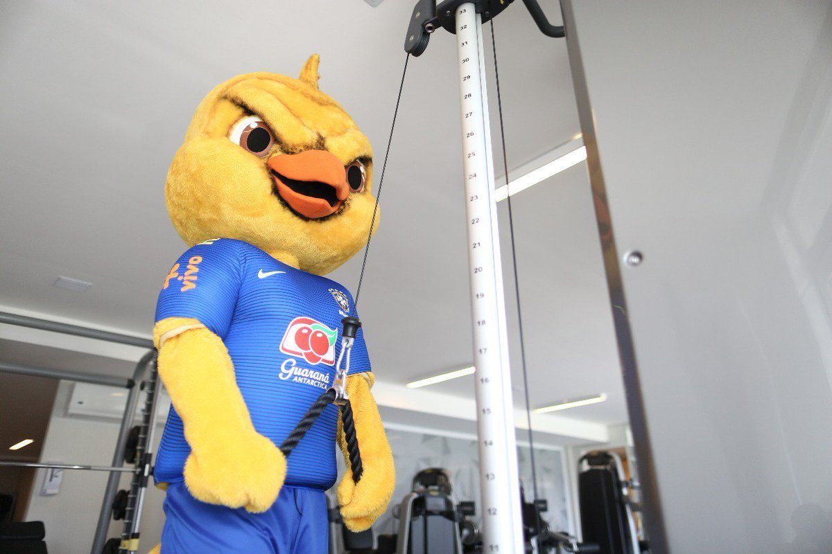Canarinho Mania: a história por trás do mascote 'pistola' da seleção ...