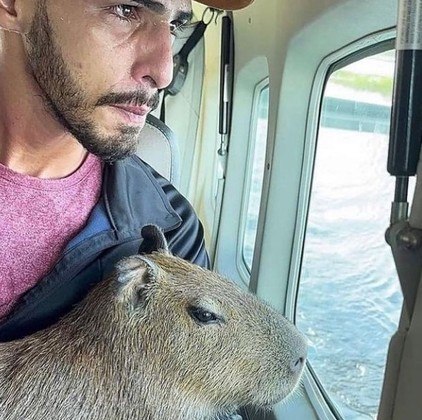 Conheça Filó, a capivara que foi devolvida ao influenciador Agenor ...