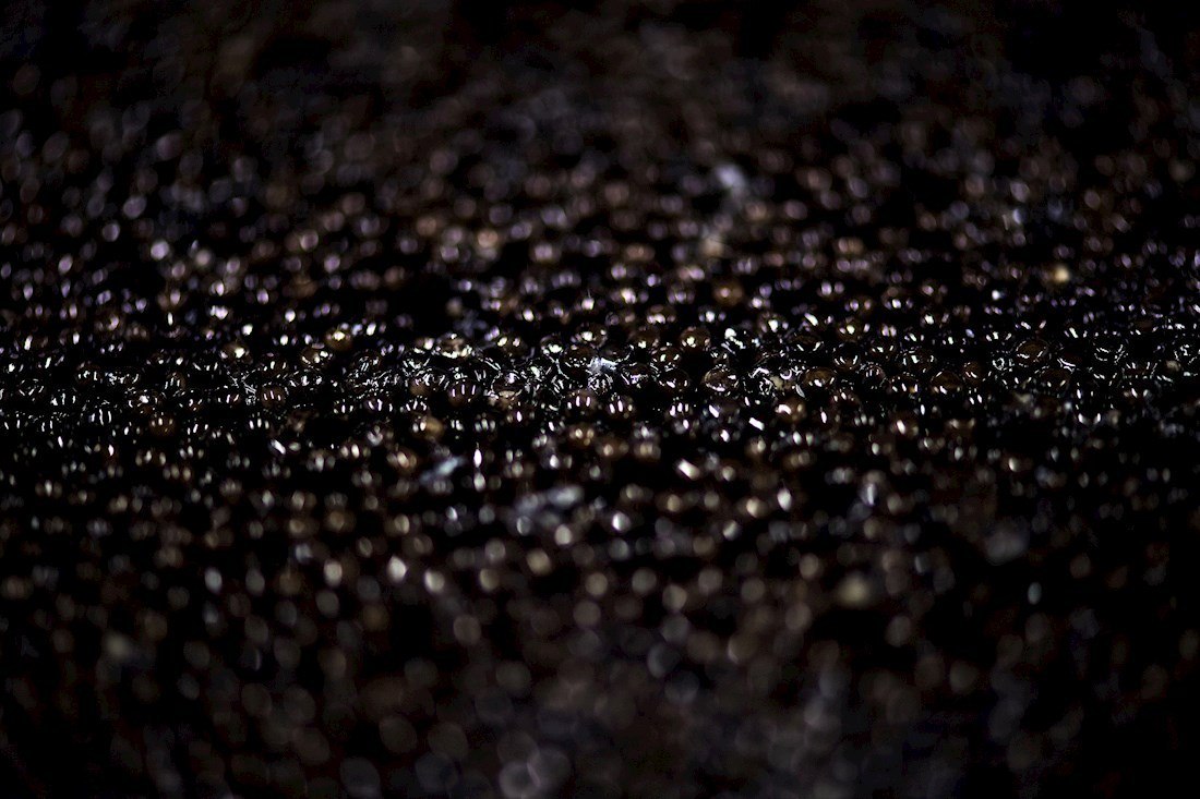 Fotos incríveis em uma só cor: o mundo em preto - Fotos - R7 Internacional