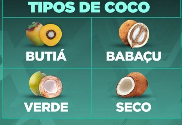 Entenda por que o coco é uma fruta completa - Fotos - R7 Domingo ...