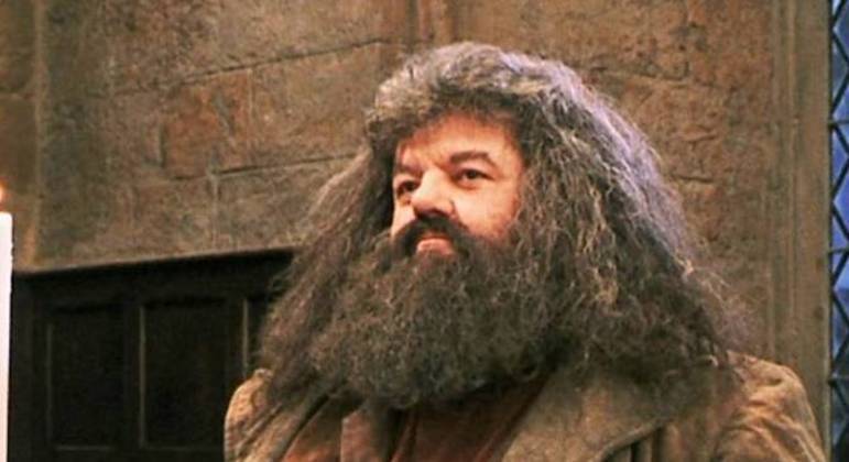 Além de Michael Gambon, o Dumbledore, veja atores de 'Harry Potter' que já morreram ...
