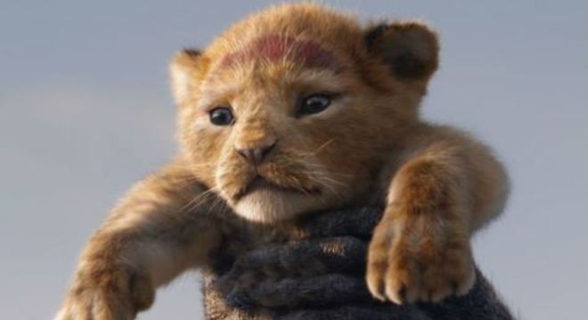 Conheça o filhote que ajudou a Disney a criar o Simba em novo 'Rei Leão ...