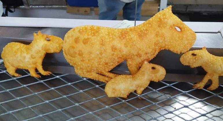 Fotos de pastel e coxinha em formato de capivara viralizam nas redes ...