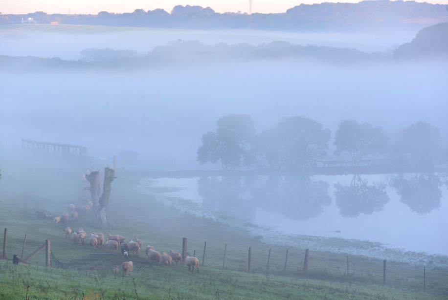 Cidade do RS amanhece com geada neste sábado (21) e frio segue ...