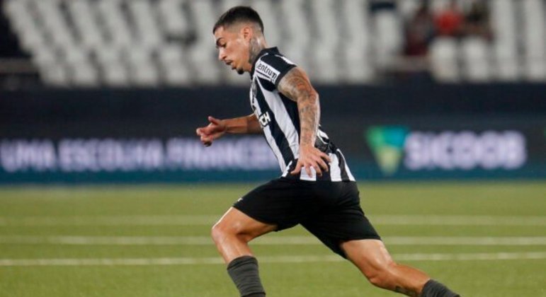 Atuações do Botafogo contra a Portuguesa-RJ: acredite se quiser ...