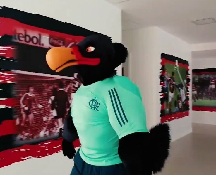 Novo Urubu no Flamengo! Veja mascotes “pistolas” dos clubes - Fotos ...