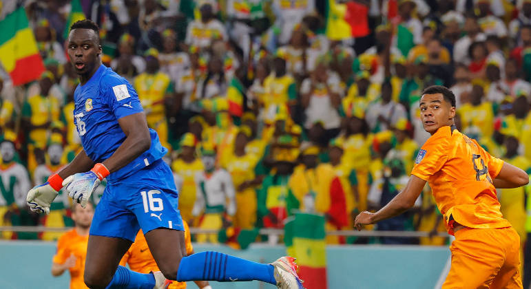 Senegal x Holanda: veja as melhores fotos do jogo da Copa do Mundo ...