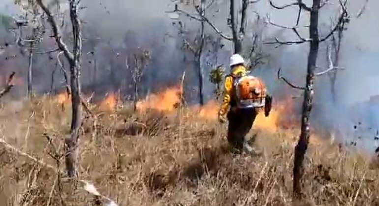 Vídeo: incêndio atinge parte do Parque Nacional de Brasília - Notícias ...