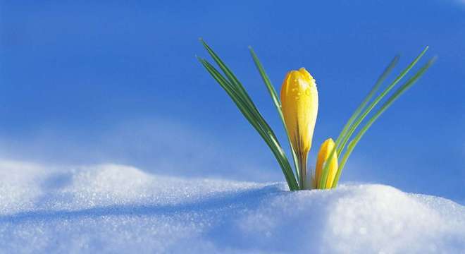 Neve, como se forma? Formatos, tipos, influência do clima, neve no Brasil