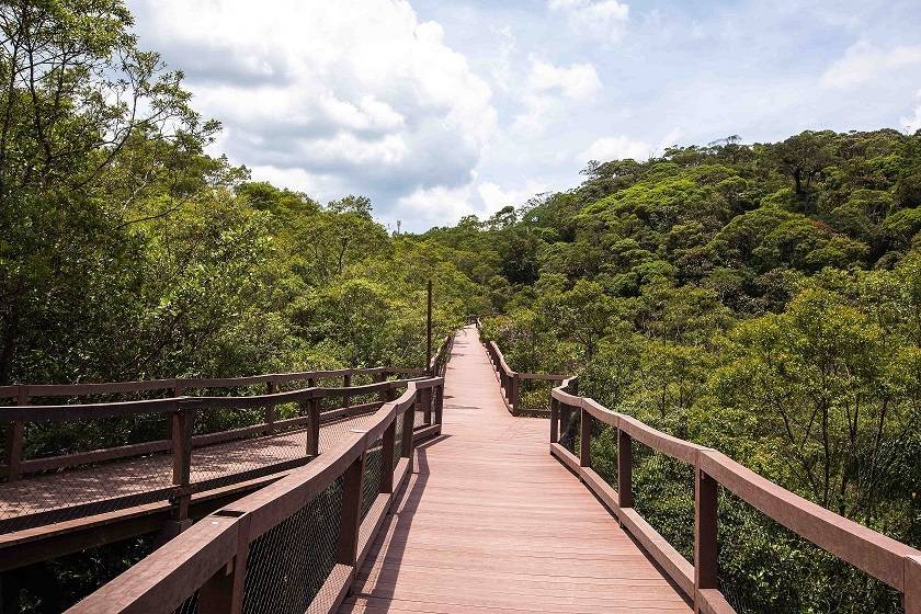 SP ganha parque com passarela e elevador dentro da Mata Atlântica ...