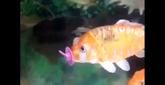 🤣😂 🤣😂Sééééériooo??? kkkkk🤣😂 🤣😂🤣😂 🤣😂 🤣😂 🤣😂🤣😂 🤣😂🤣😂 🤣 | Maryworks