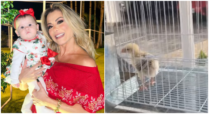 Mulher de Leonardo, Poliana Rocha compra pintinho para Maria Alice ...