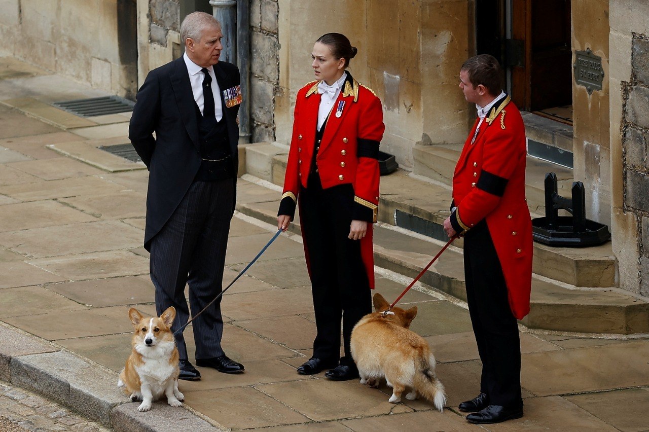 Príncipe Andrew consola corgis de Elizabeth 2ª após funeral da rainha ...