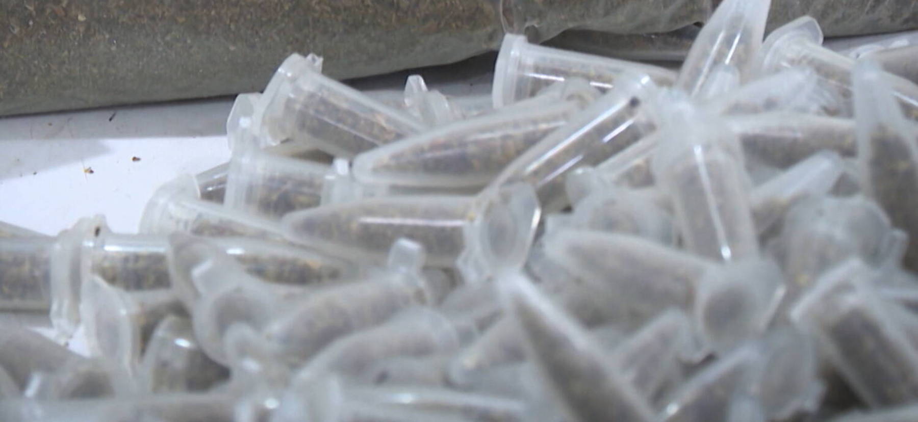 Especia De Drogas K2