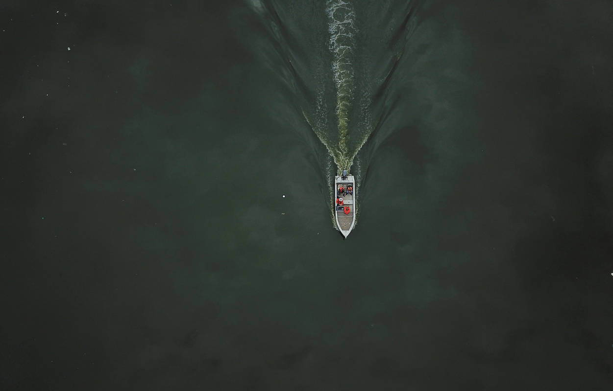 Animais vistos no rio Pinheiros (SP) criam expectativa de despoluição ...