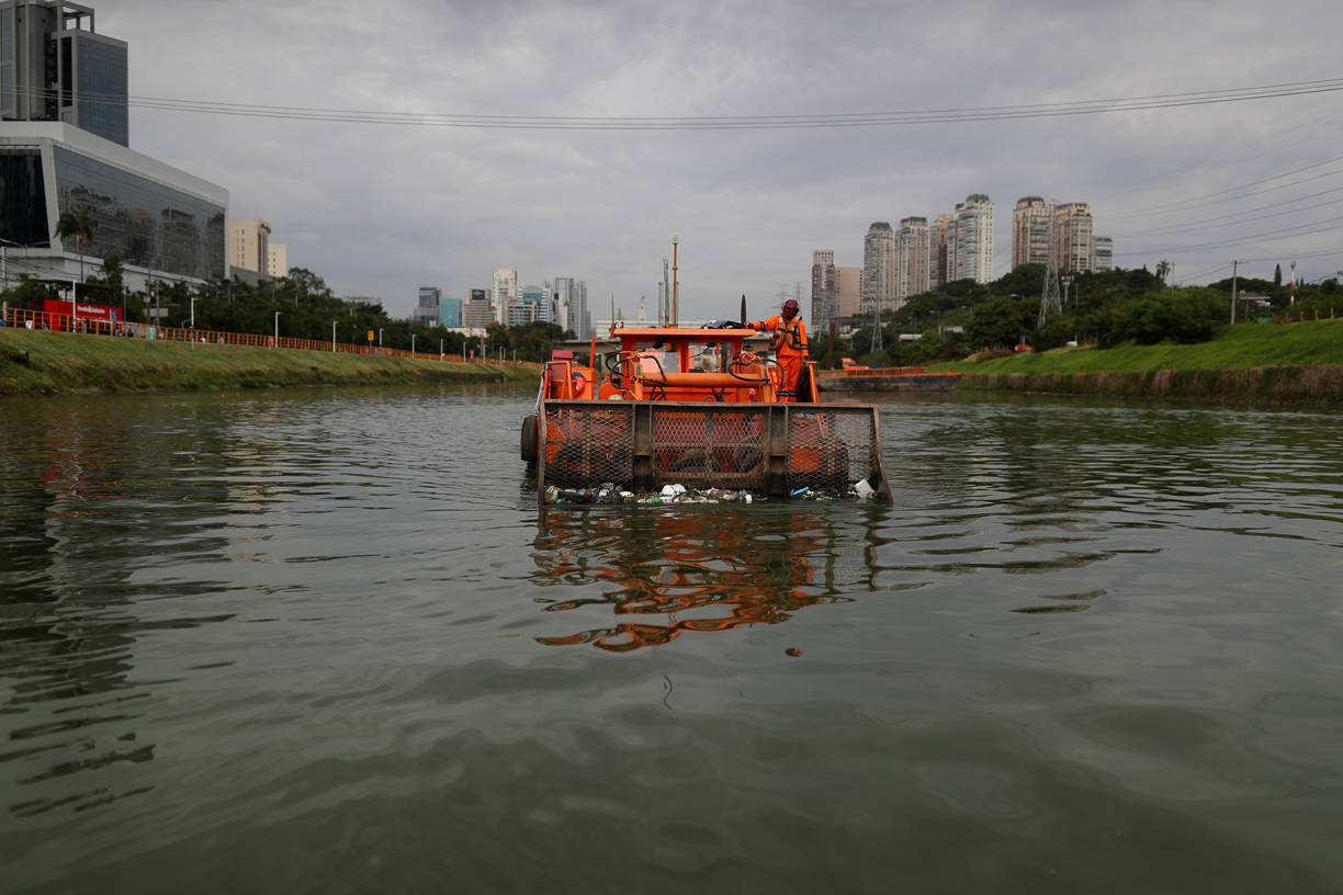 Animais vistos no rio Pinheiros (SP) criam expectativa de despoluição ...