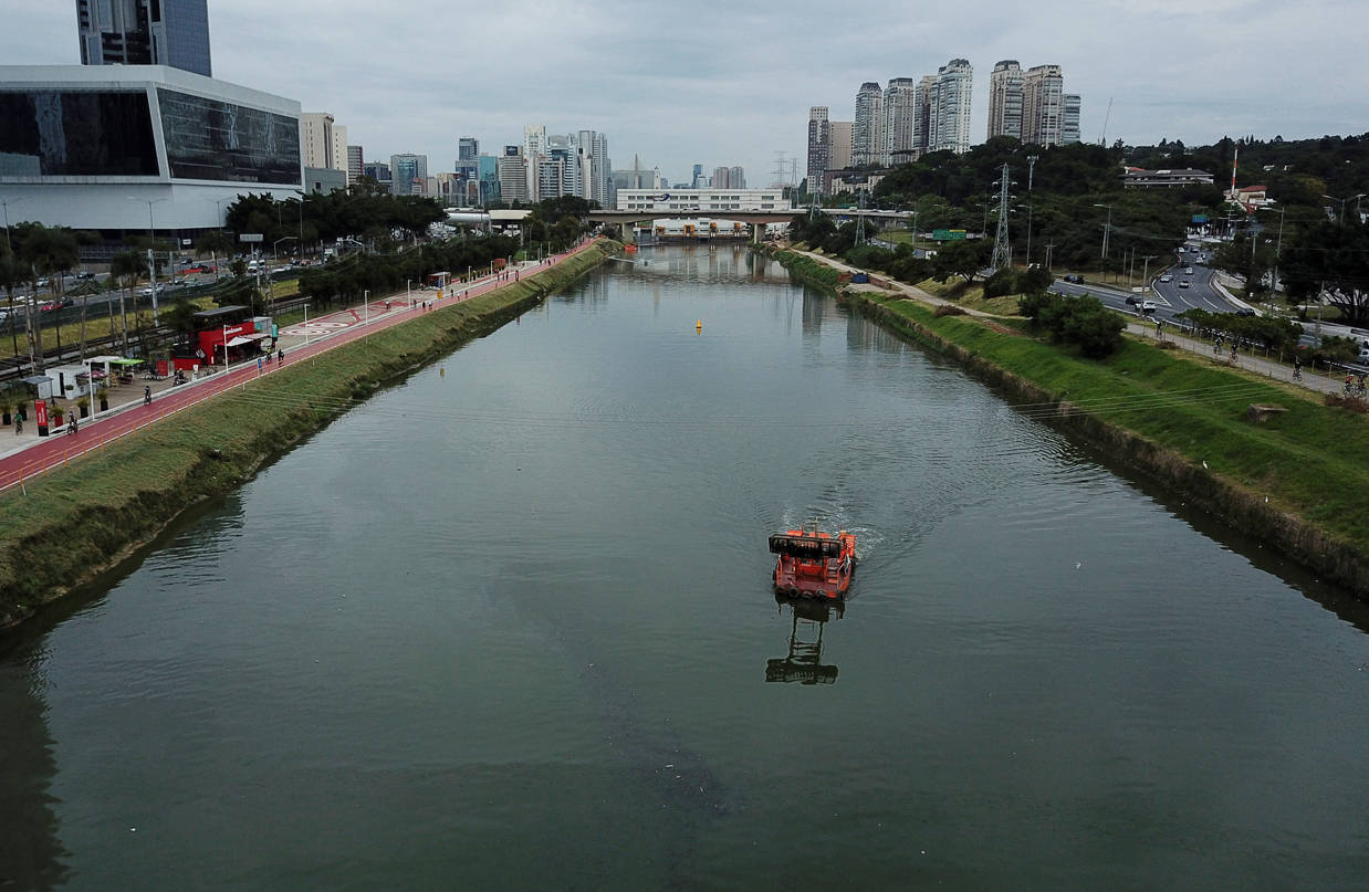 Animais vistos no rio Pinheiros (SP) criam expectativa de despoluição ...