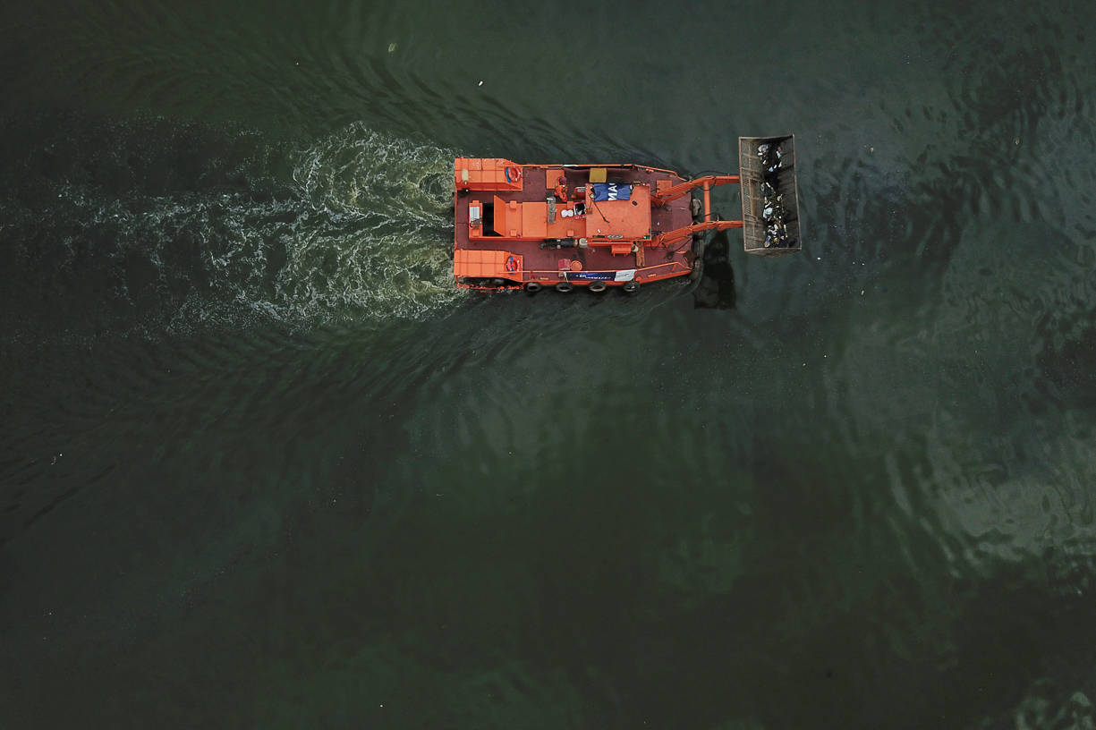 Animais vistos no rio Pinheiros (SP) criam expectativa de despoluição ...