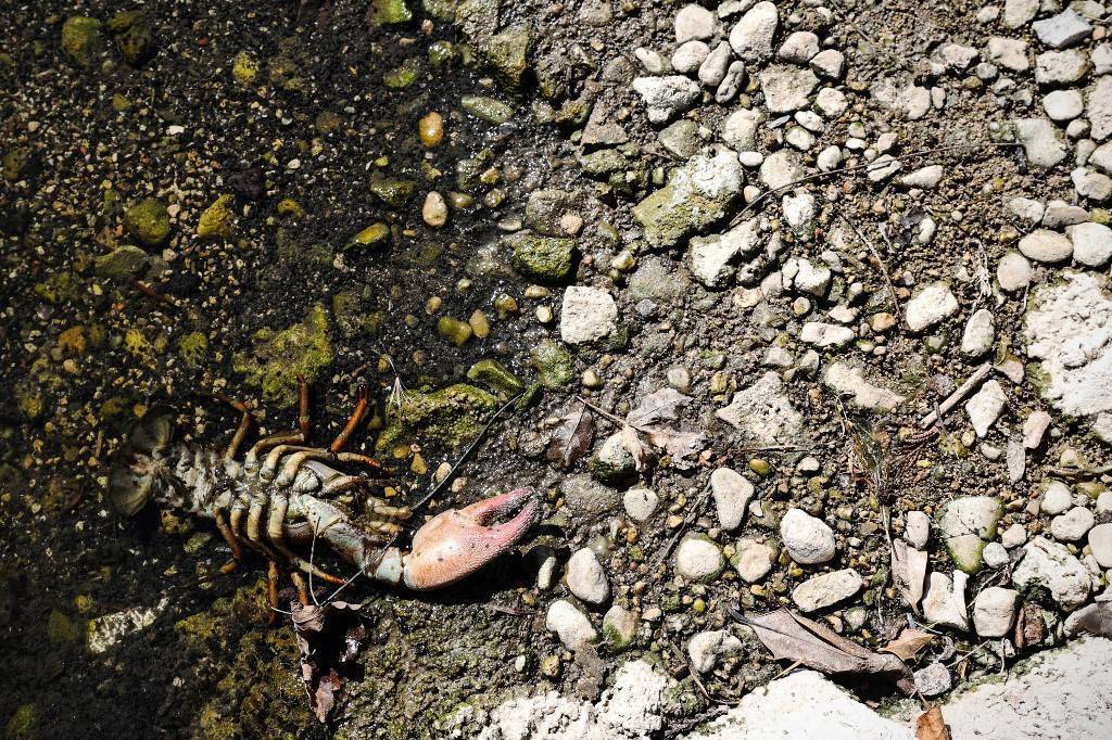 Onde está o rio Tâmisa? A pergunta que os britânicos se fazem em meio à ...