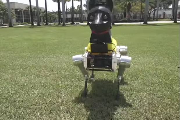 Inteligente para cachorro! Robô entende e aprende comandos de voz ...