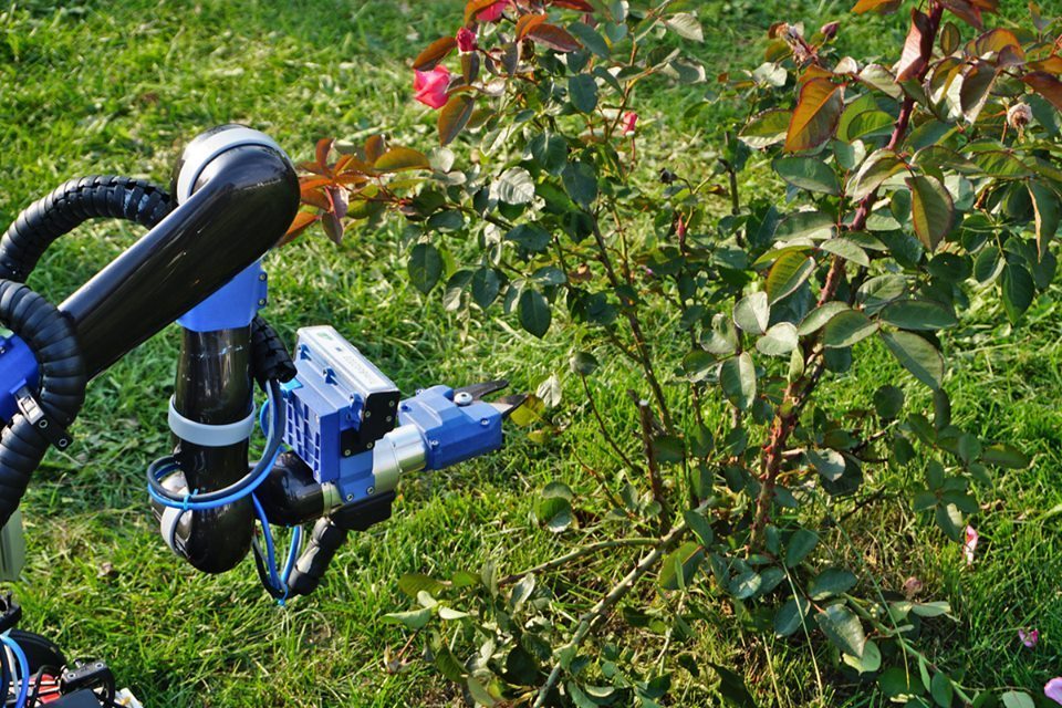 Cientistas britânicos criam robô para ajudar a cuidar de jardins ...