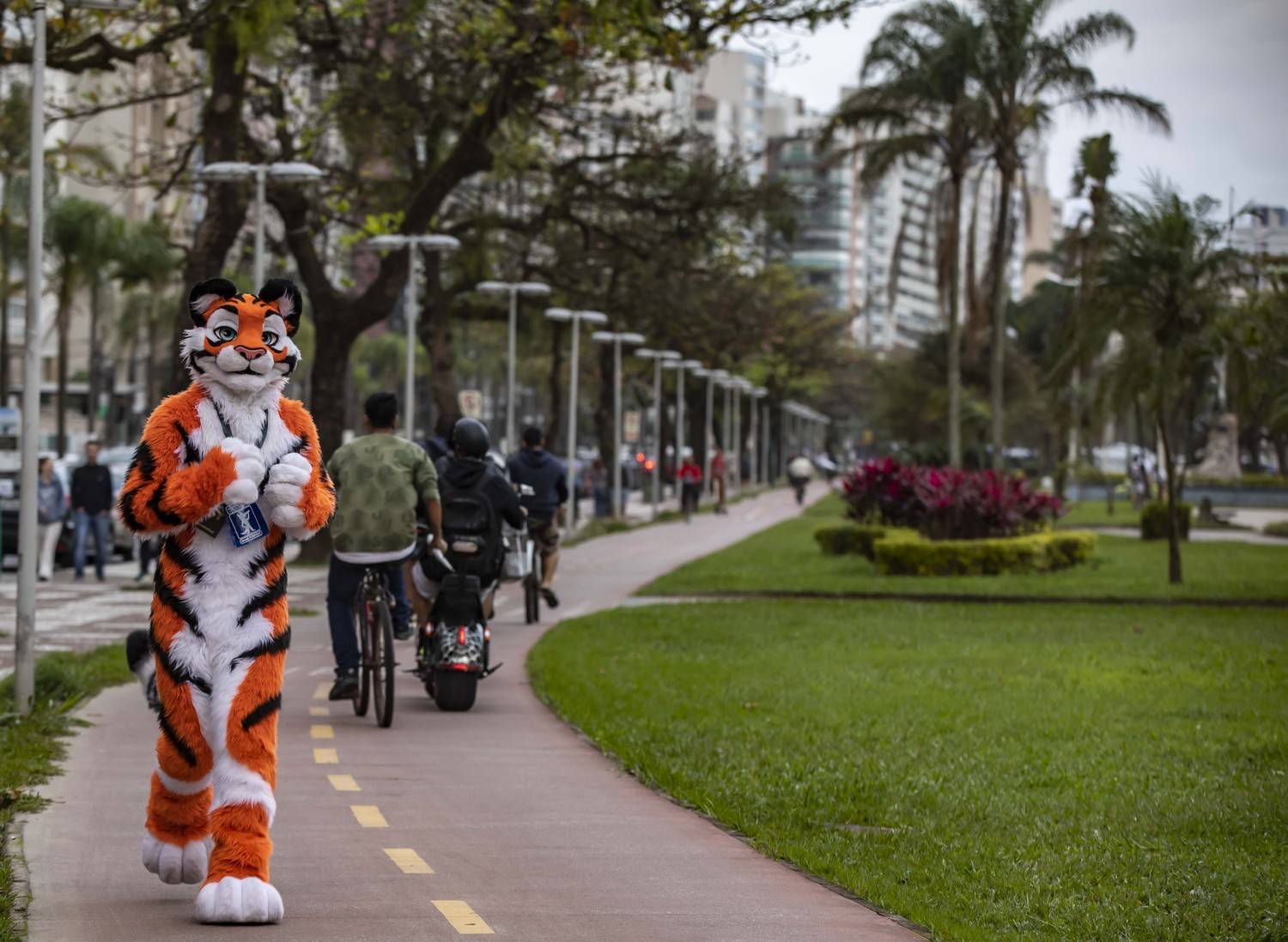 Mundo furry: sem medo e sem delírio - R7 Estúdio - R7 R7 Estúdio
