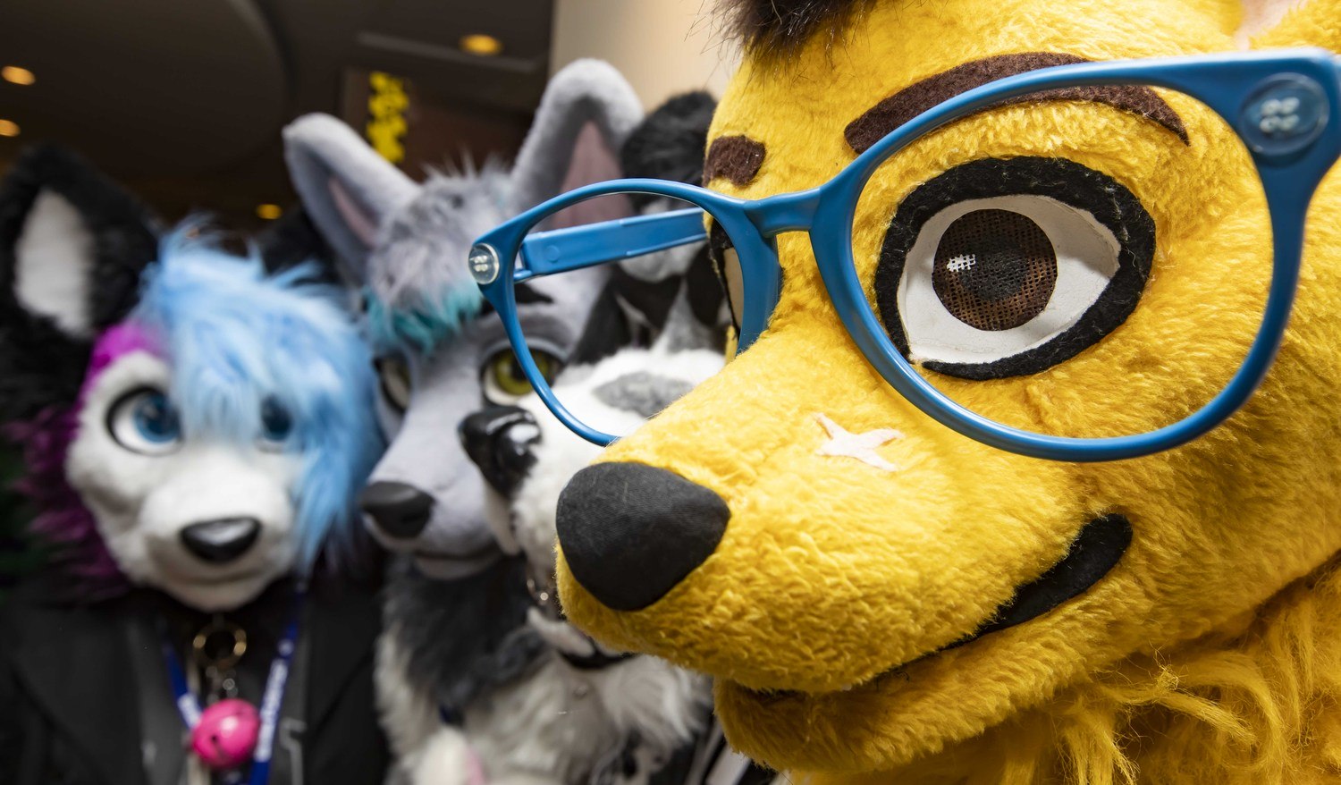 Mundo furry: sem medo e sem delírio - R7 Estúdio - R7 R7 Estúdio