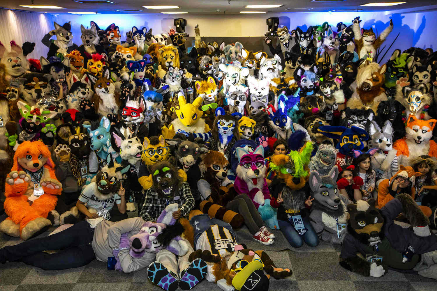 Mundo furry: sem medo e sem delírio - R7 Estúdio - R7 R7 Estúdio