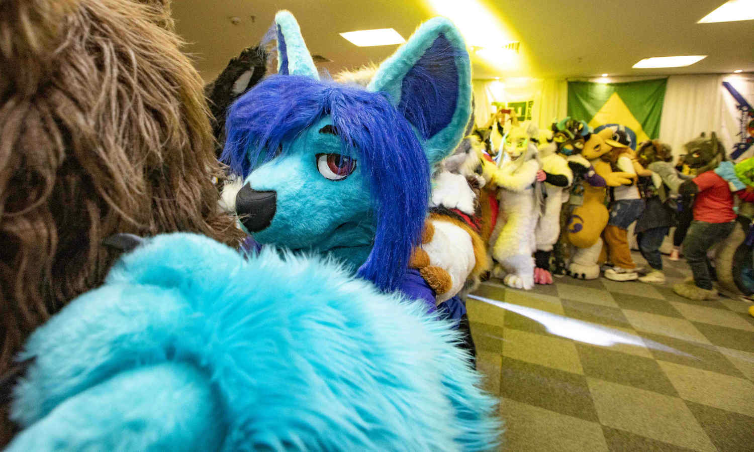 Mundo furry: sem medo e sem delírio - R7 Estúdio - R7 R7 Estúdio