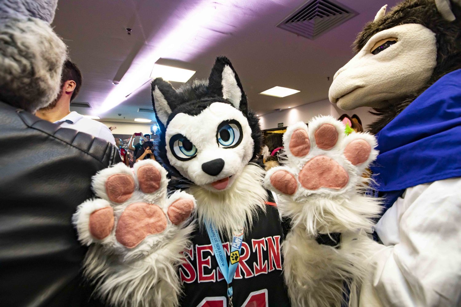 Mundo furry: sem medo e sem delírio - R7 Estúdio - R7 R7 Estúdio